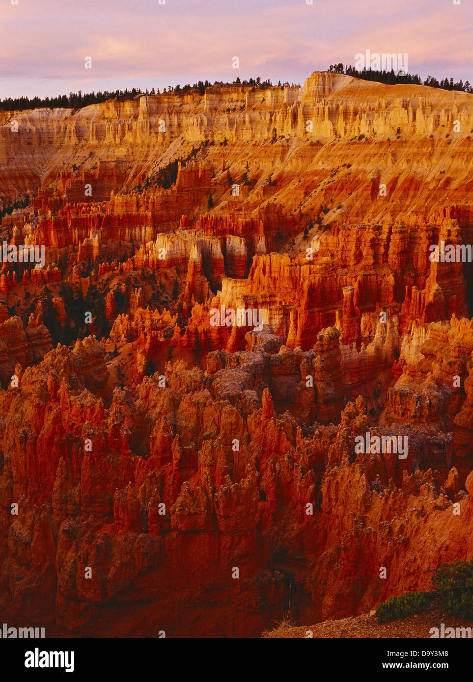 Bryce Amphitheater in pastel light of dawn, view toward Inspiration ...