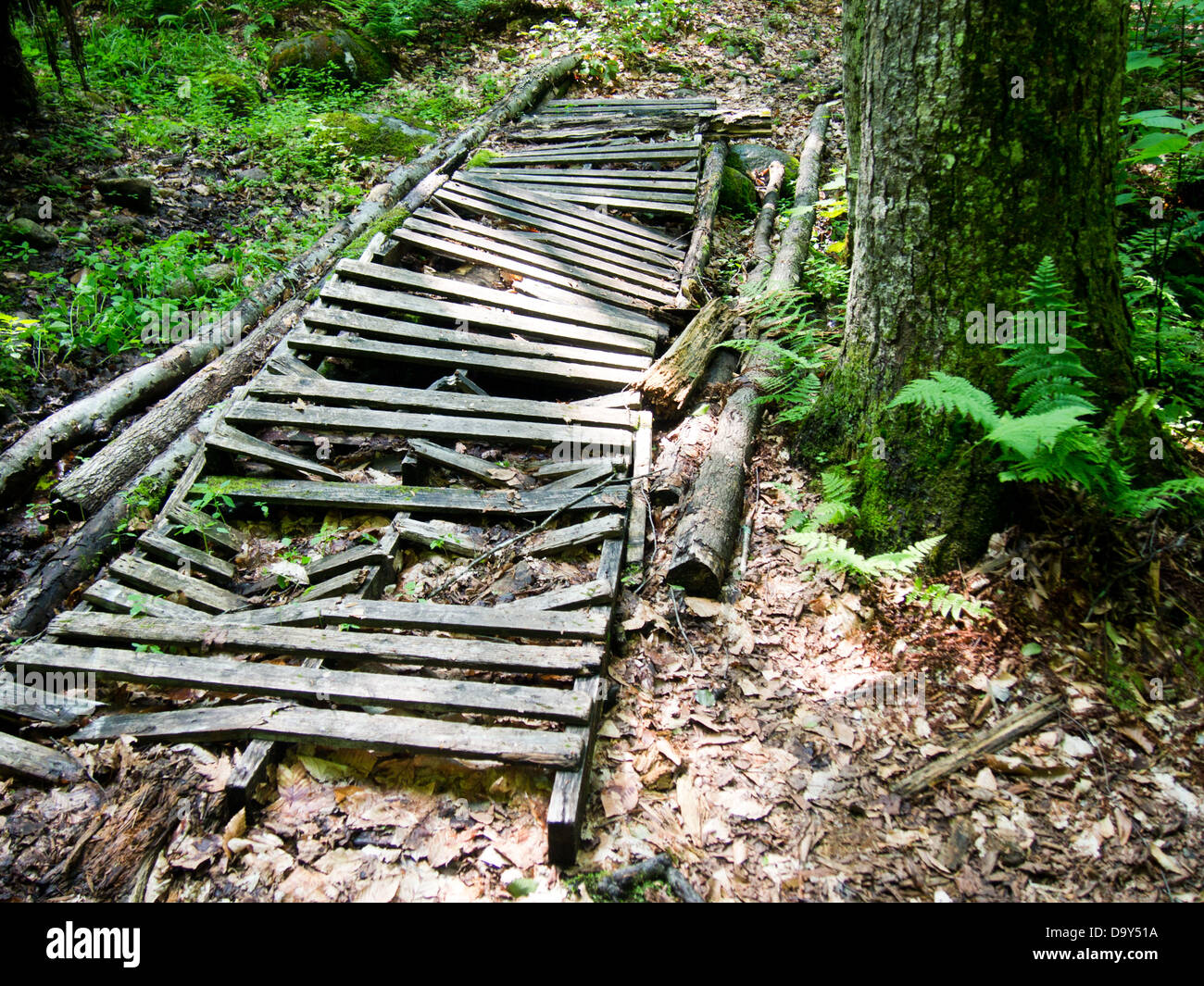 Repair wood bridge hi-res stock photography and images - Alamy