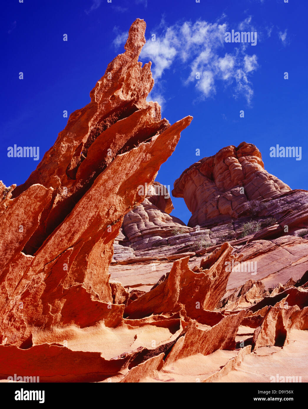 Paper-thin fins wind-eroded Navajo Sandstone with Navajo Sandstone ...