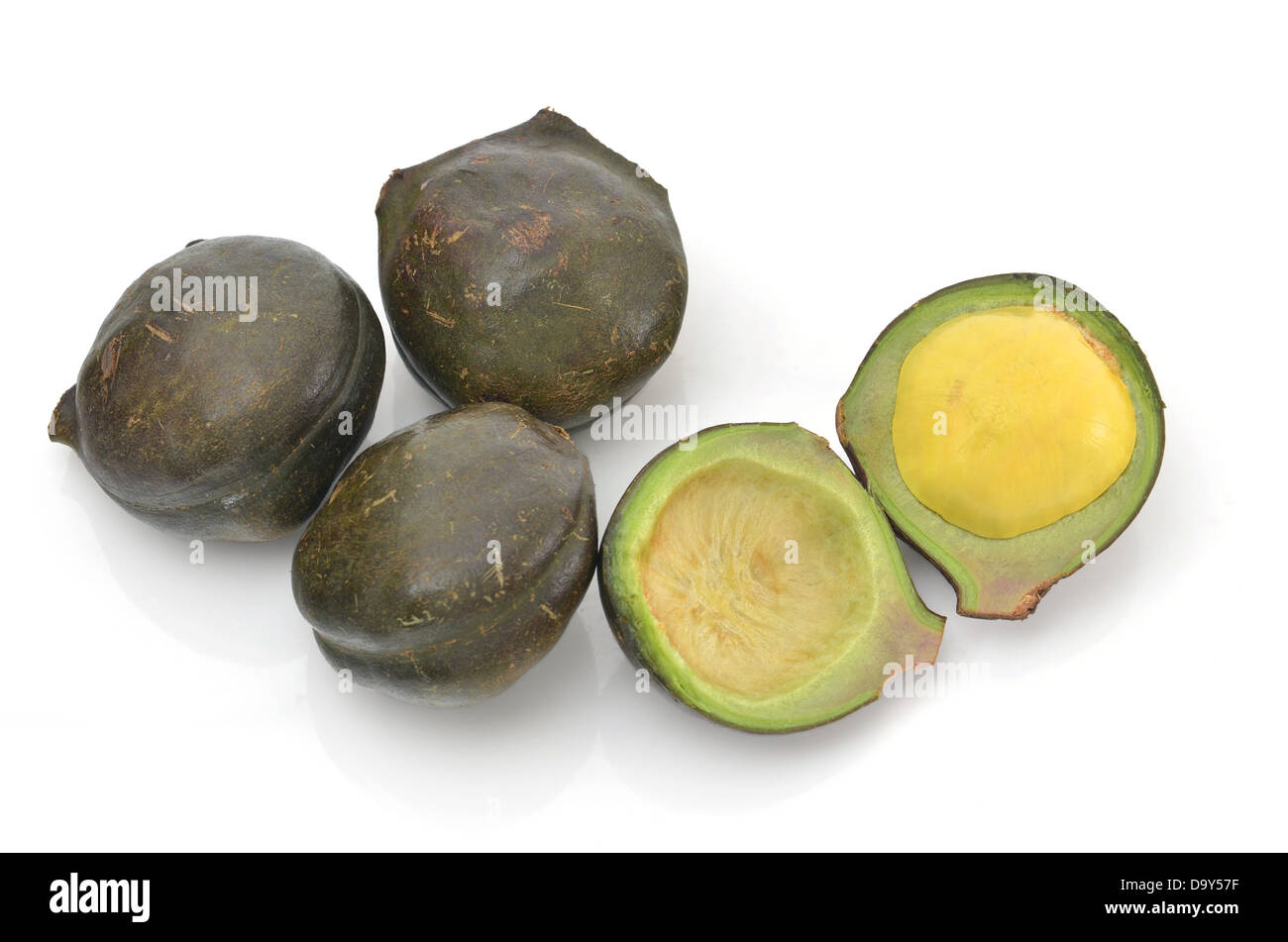 Archidendron Jiringa seed Stock Photo - Alamy