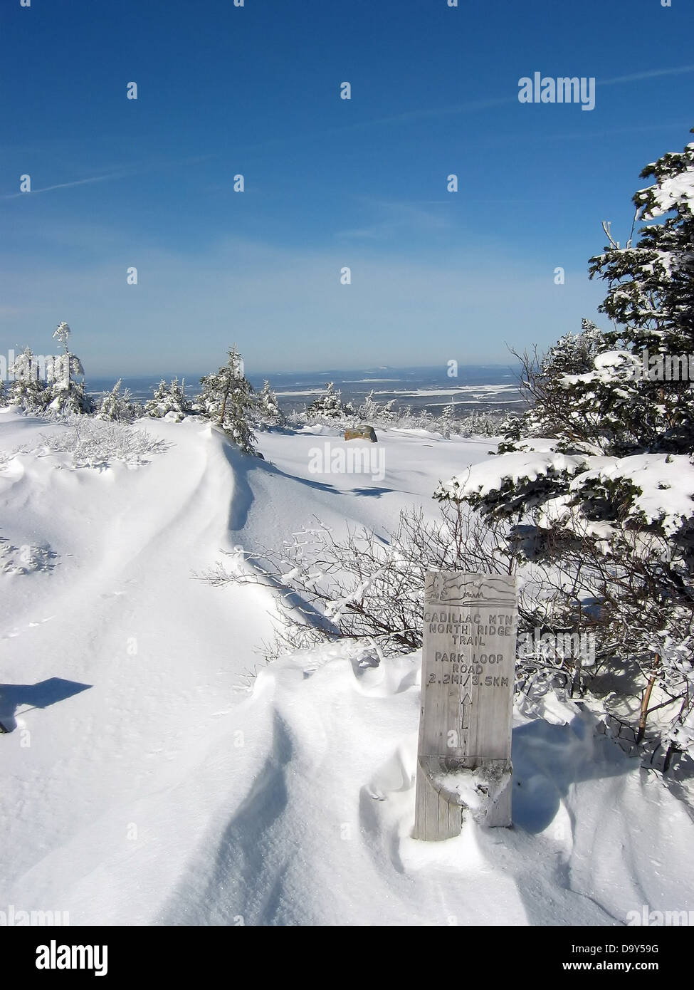 The Maine landscape offers scenic views of forests and trees during ...