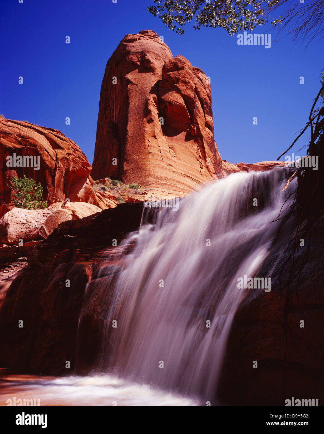 Glen canyon national recreation areas hi-res stock photography and ...