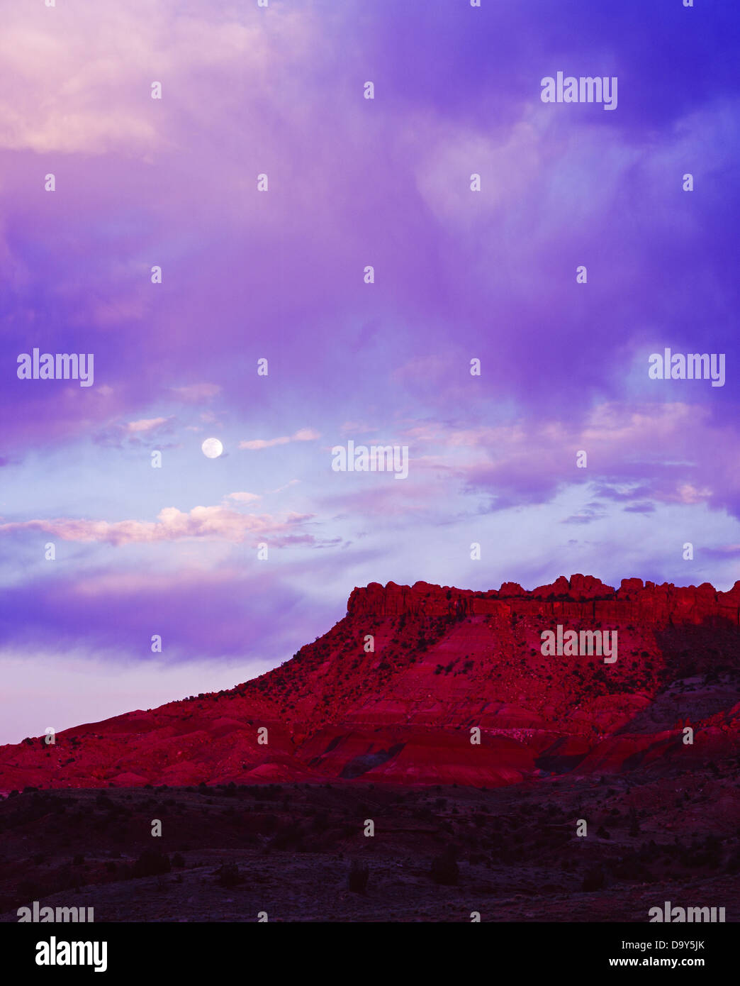 Full moon rising over Circle Cliffs Wolverine Petrified Wood Natural ...