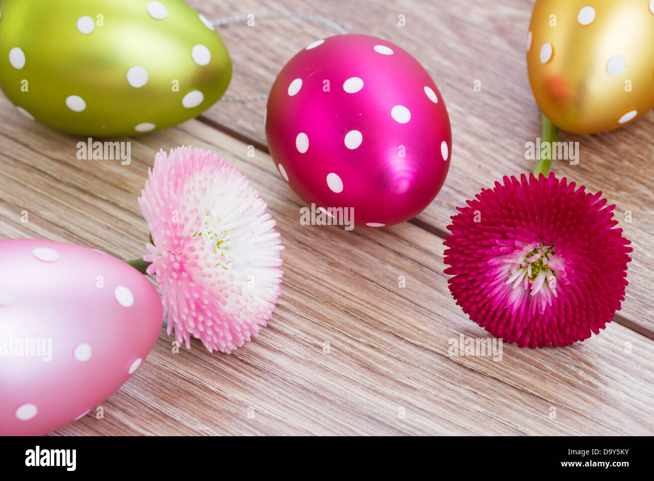 easter eggs with daisy flowers Stock Photo - Alamy
