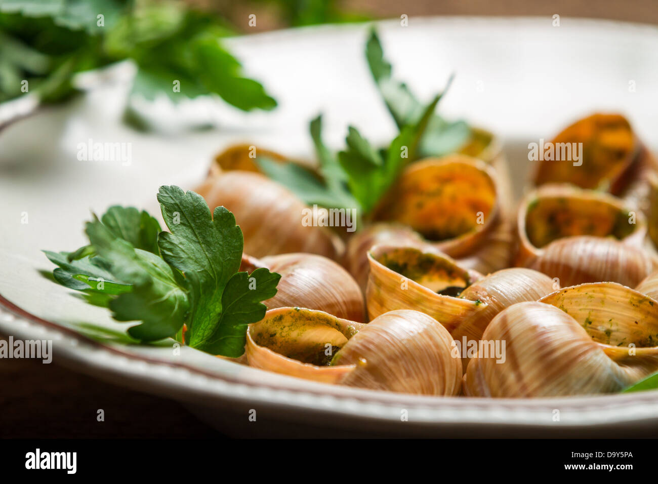 Baked snails hi-res stock photography and images - Alamy