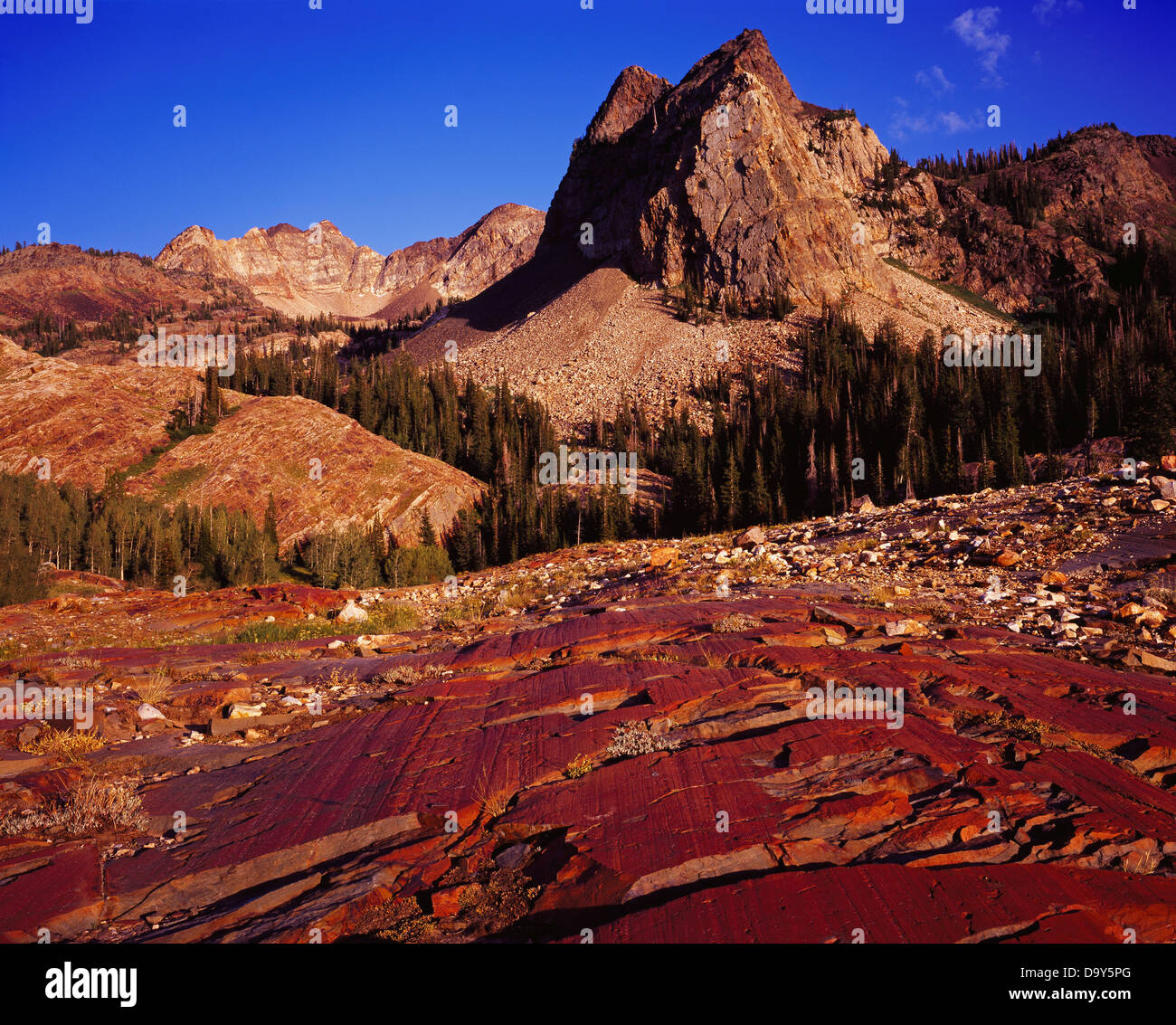 Glacially grooved polished rock with Sundial Peak beyond Wasatch Range ...