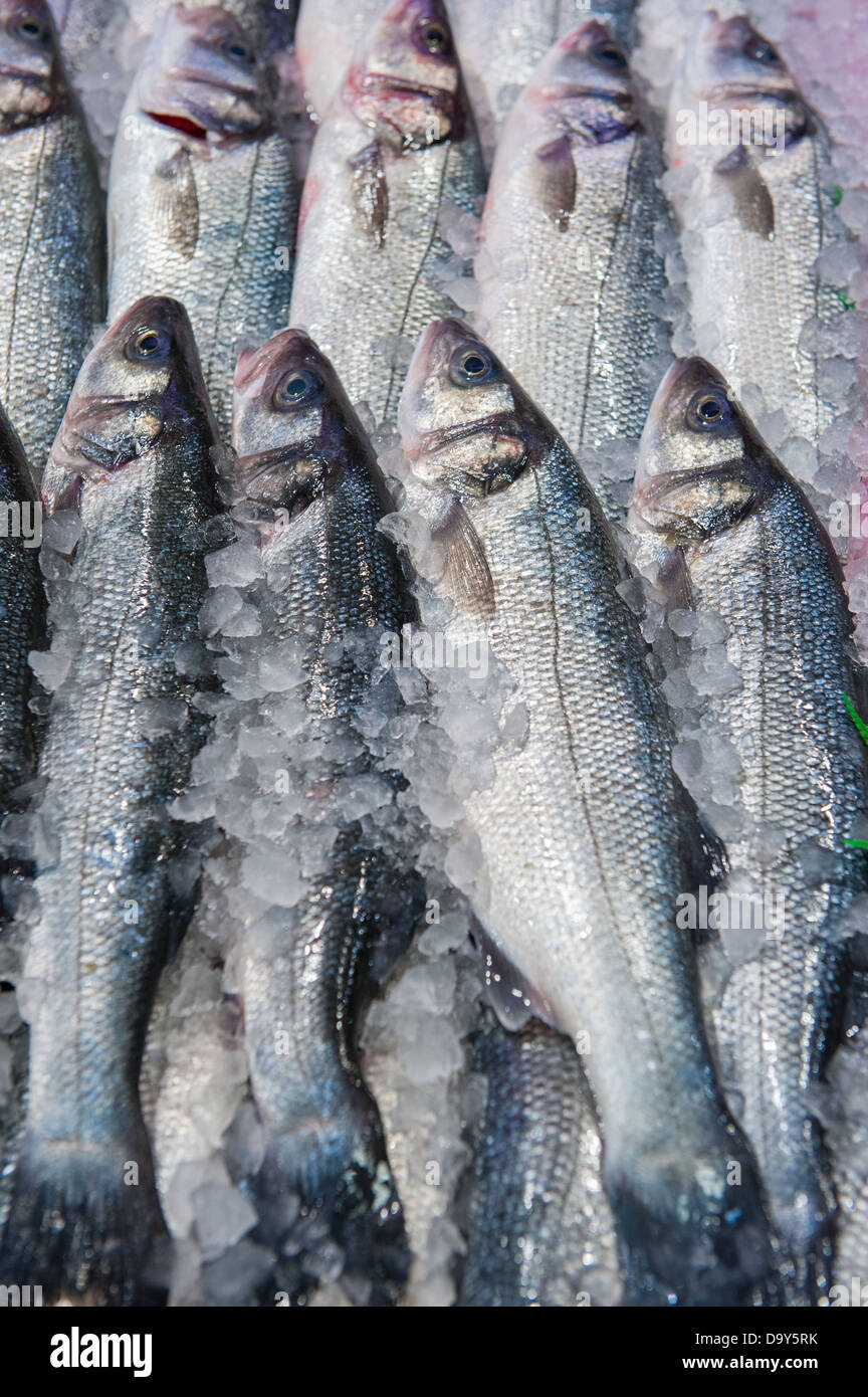 fresh fish at a fish market Stock Photo - Alamy