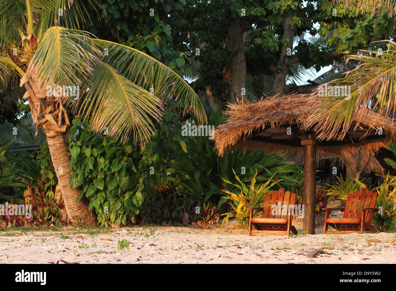 Sunset beach chairs palm trees hi-res stock photography and images - Alamy