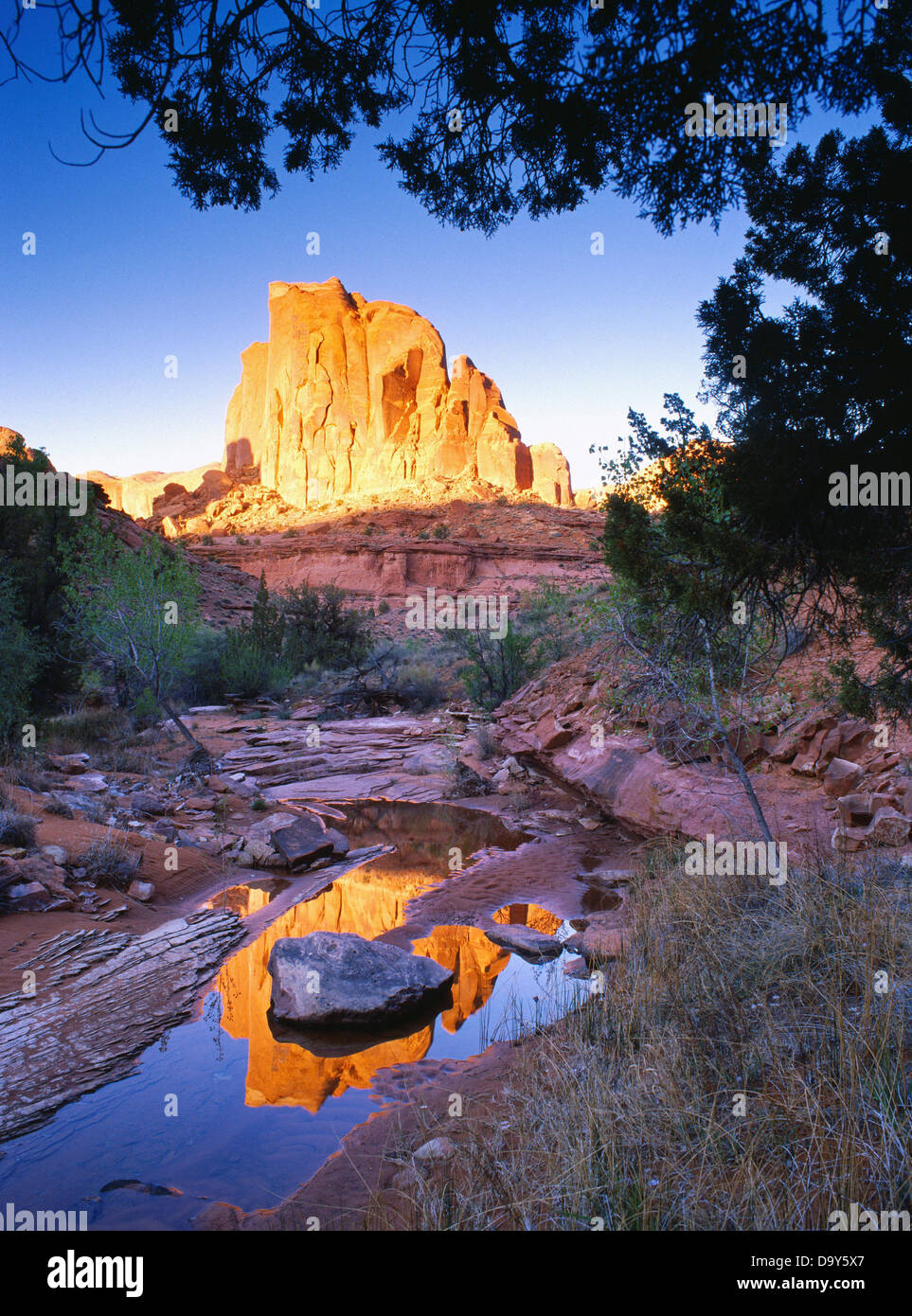 Sandstone monolith reflected in a slickrock pool, tributary to the ...