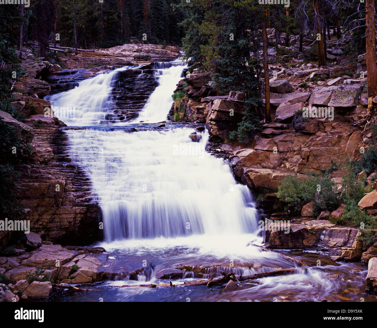 Wasatch cache national forest provo hi-res stock photography and images ...