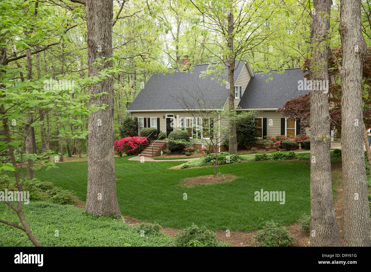 Blooms showcase hi-res stock photography and images - Alamy