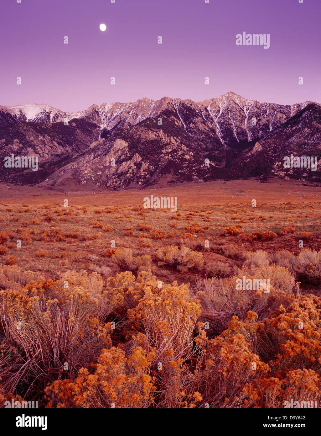 Goshute indian reservation hi-res stock photography and images - Alamy