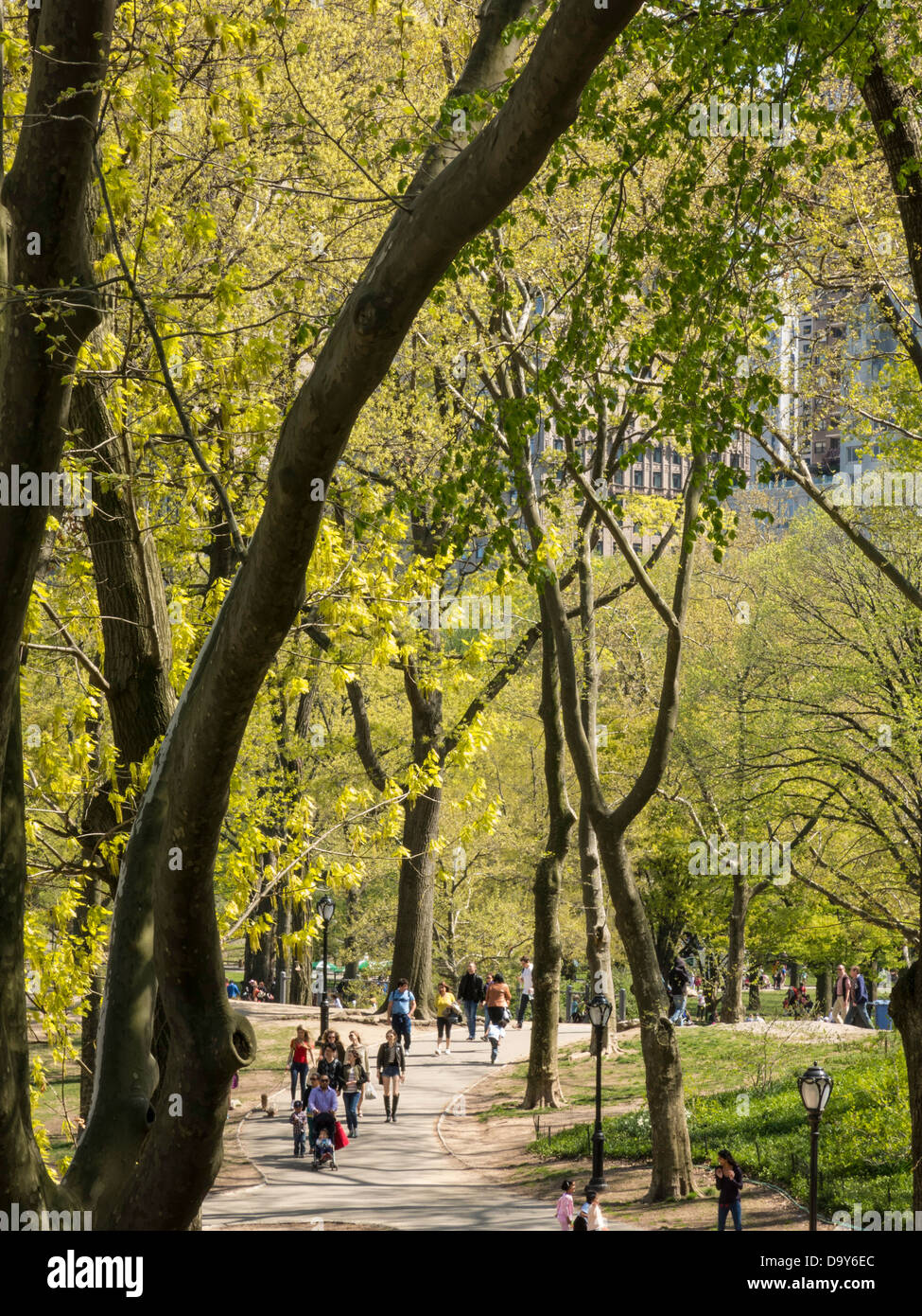 Walking Path in Central Park, New York City Stock Photo - Alamy