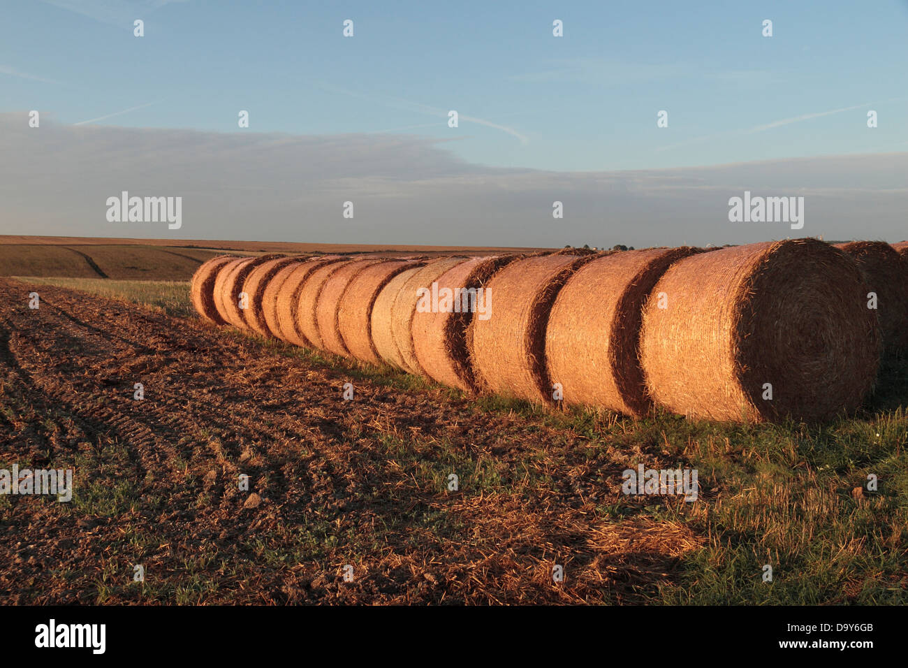 A line of rolled hay bales in a field in Northern France Stock Photo ...