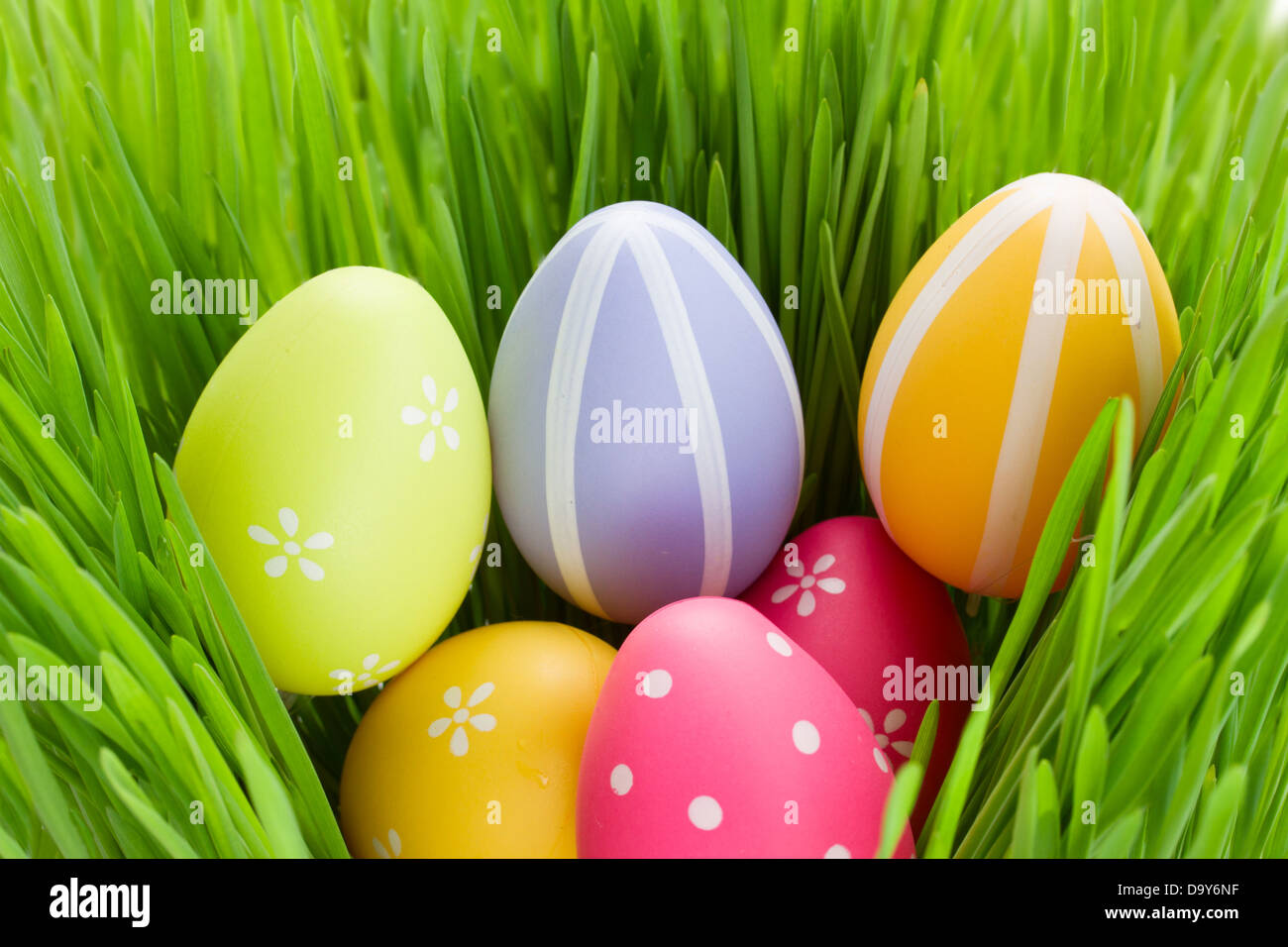 easter eggs in grass Stock Photo - Alamy