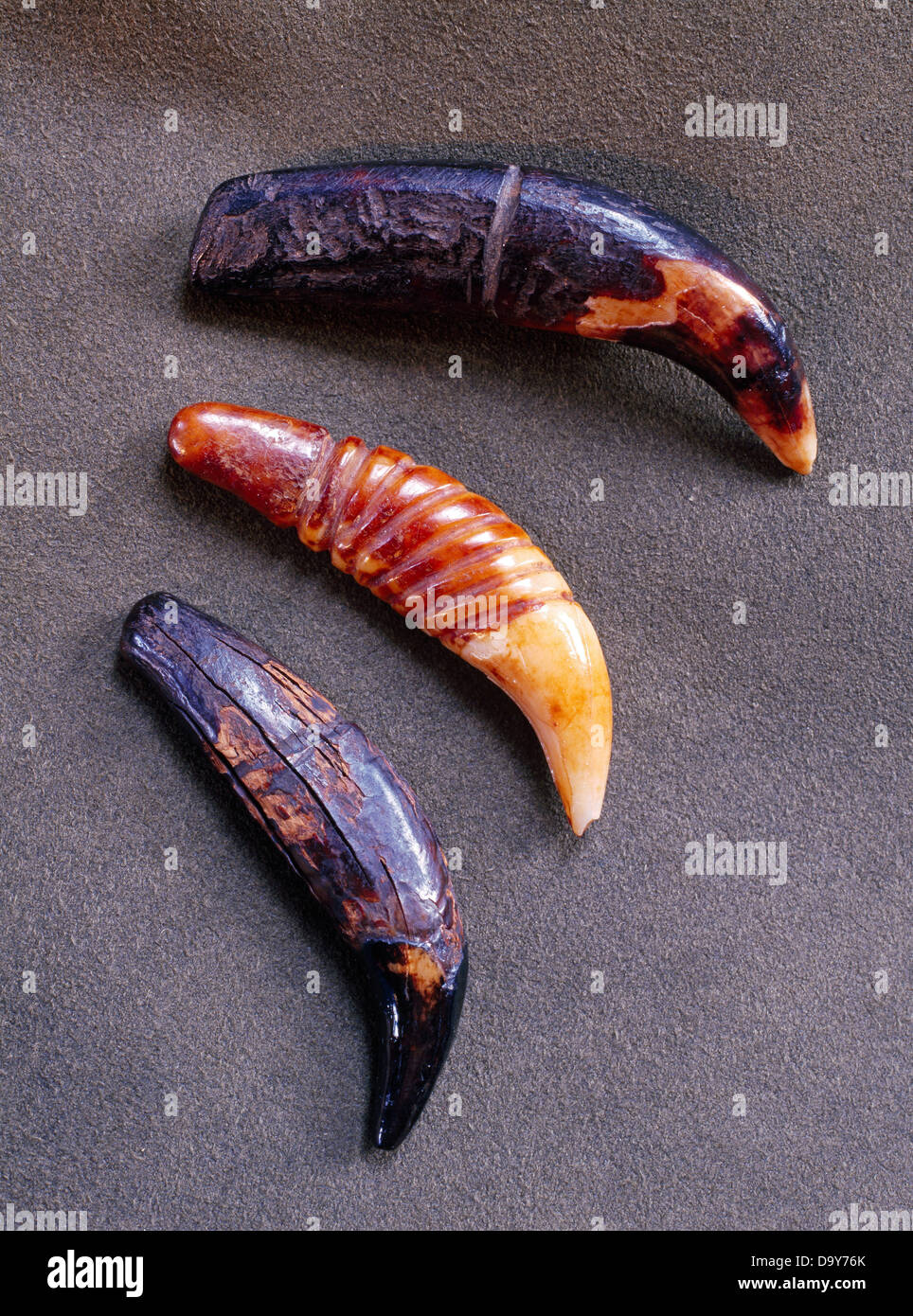 USA, Alaska, Three carved polar bear teeth amulets Stock Photo - Alamy
