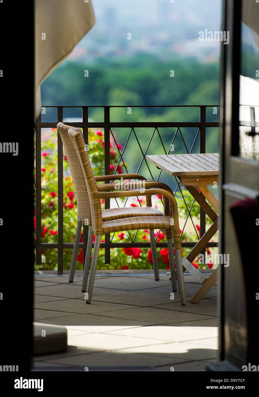 A wicker chair and a table stand on a terrace with a rose-bush in the ...