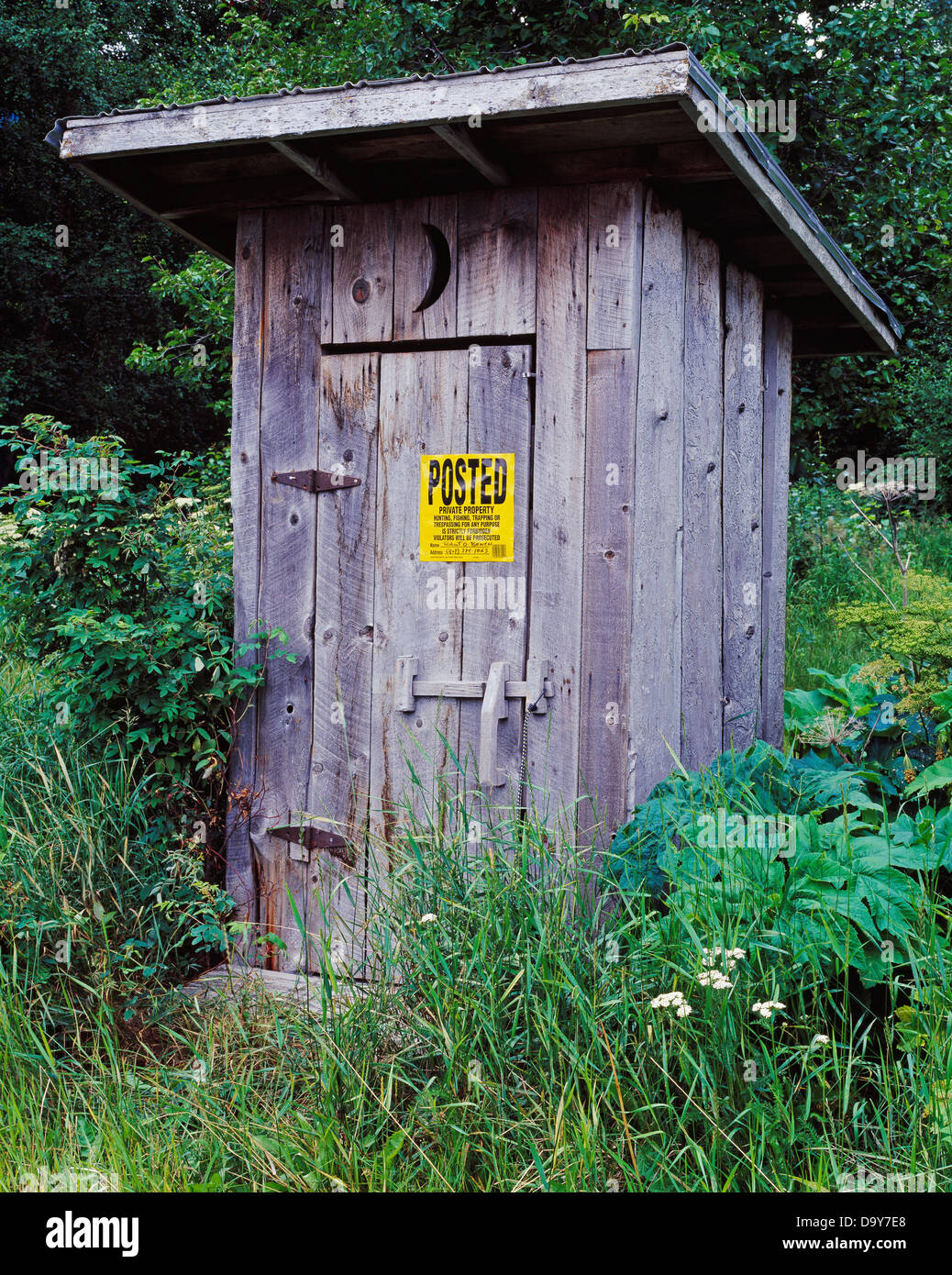 USA, Alaska, Hope, Outhouse behind historic Swetman Cabin Stock Photo ...