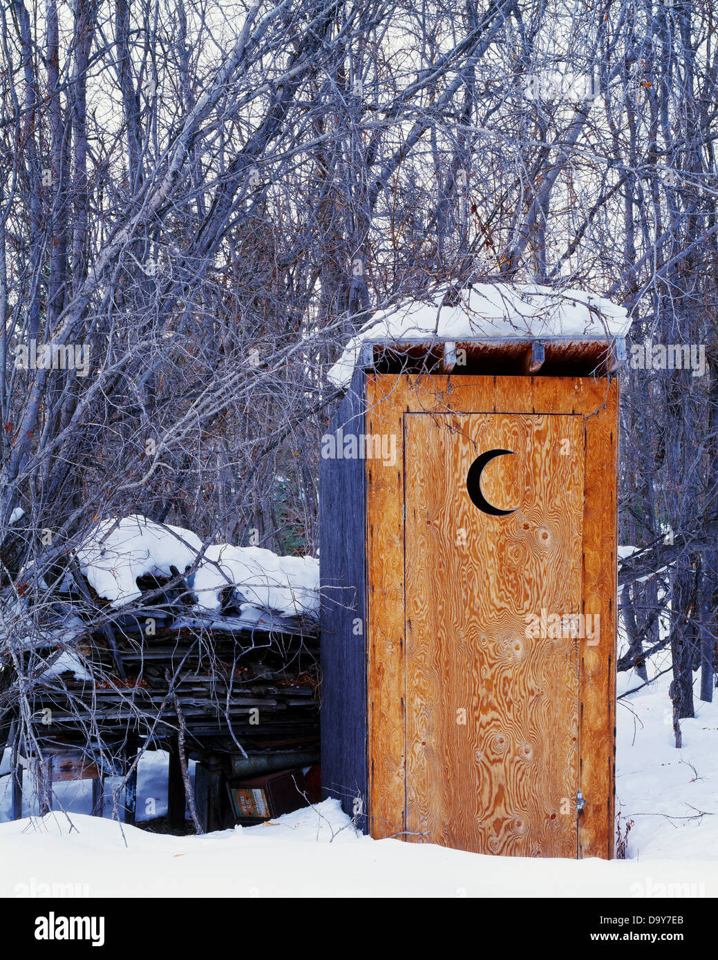 USA, Alaska, Wiseman, Modern plywood outhouse in historic Brooks Range ...