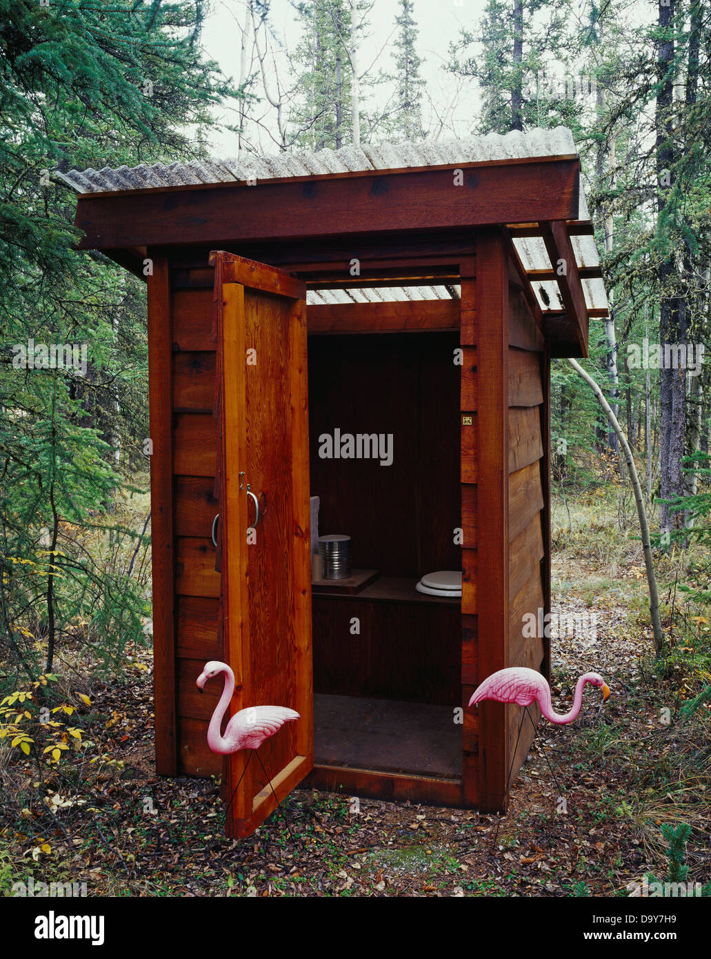 USA, Alaska, Tok, Pink flamingos at door of Kay Lynn Olde-Moore's cedar ...