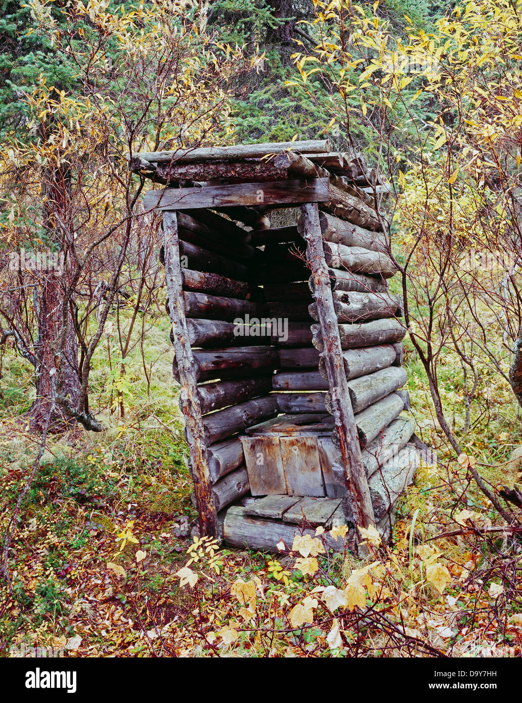 USA, Alaska, Lake Clark National Park, Leaning log outhouse Stock Photo ...