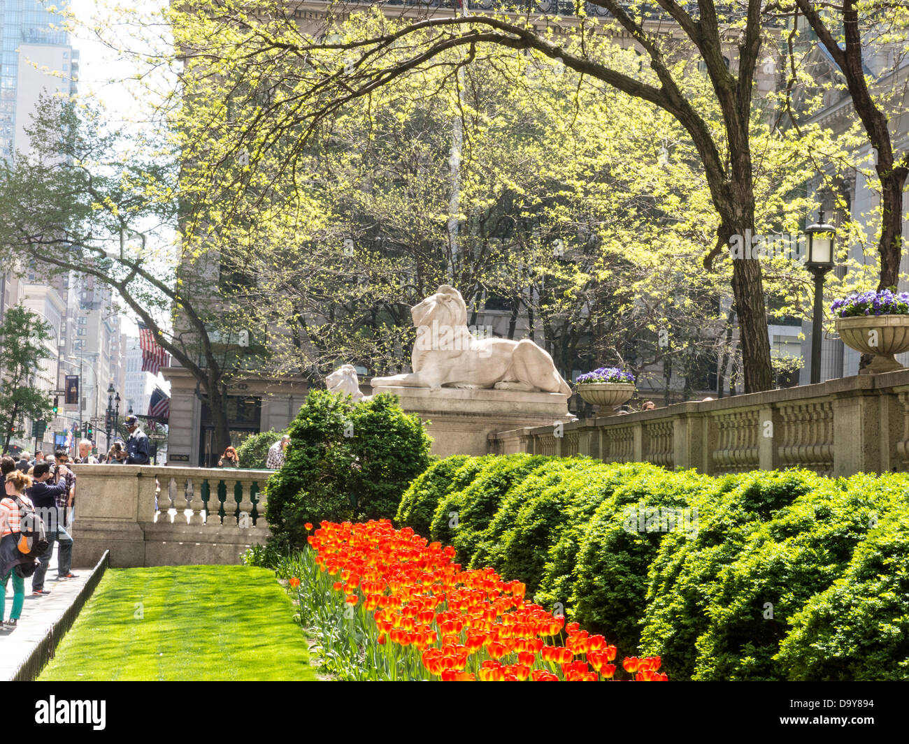 Lion Statues, Fortitude, New York Public Library, Main Branch, NYC ...