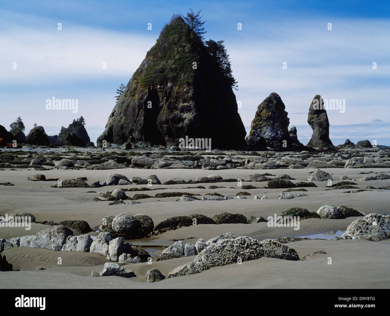 USA, Washington State, Olympic National Park, Olympic Coast, Point of ...