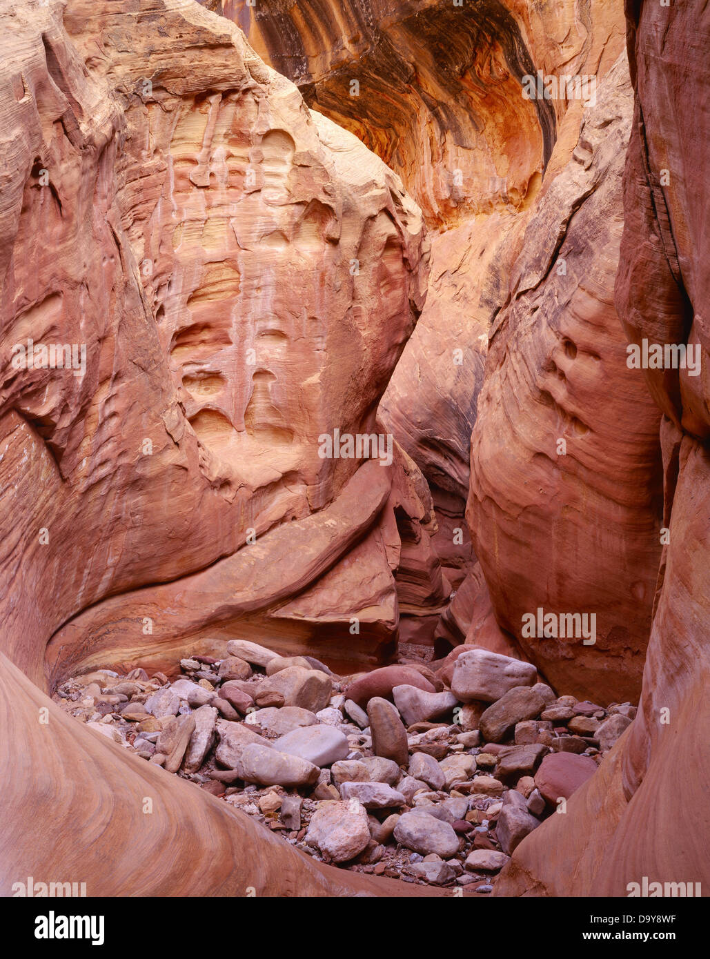 USA Utah San Rafael Reef Little Wild Horse Canyon Large pothole with ...