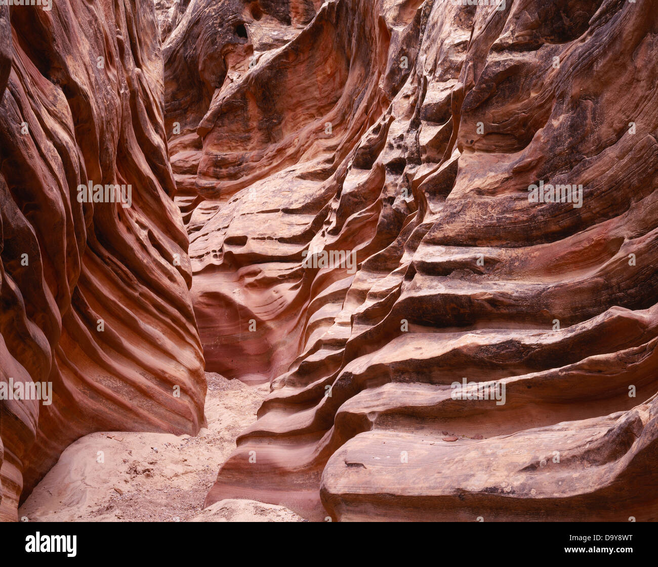 USA, Utah, San Rafael Reef, Terrace walls in Navajo Sandstone, slot ...