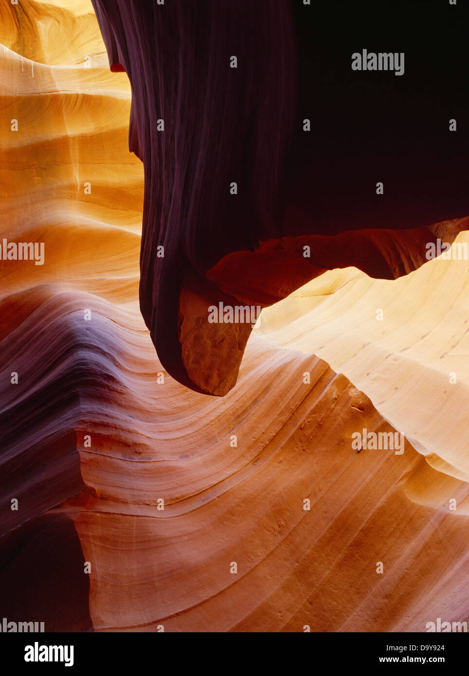 USA, Arizona, Colorado Plateau, Wild scenery deep within slickrock slot ...
