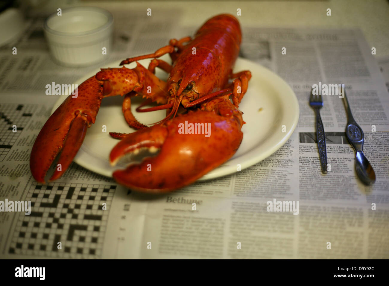 Red canadian cooked lobster hi-res stock photography and images - Alamy