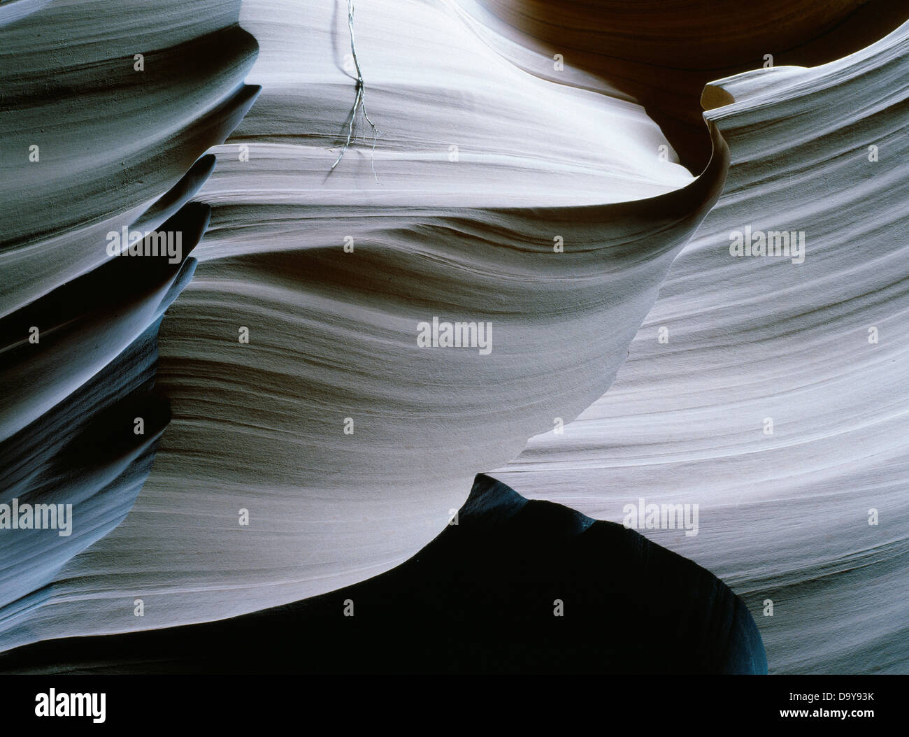 USA, Arizona, Colorado Plateau, Cresting waves carved in Navajo ...