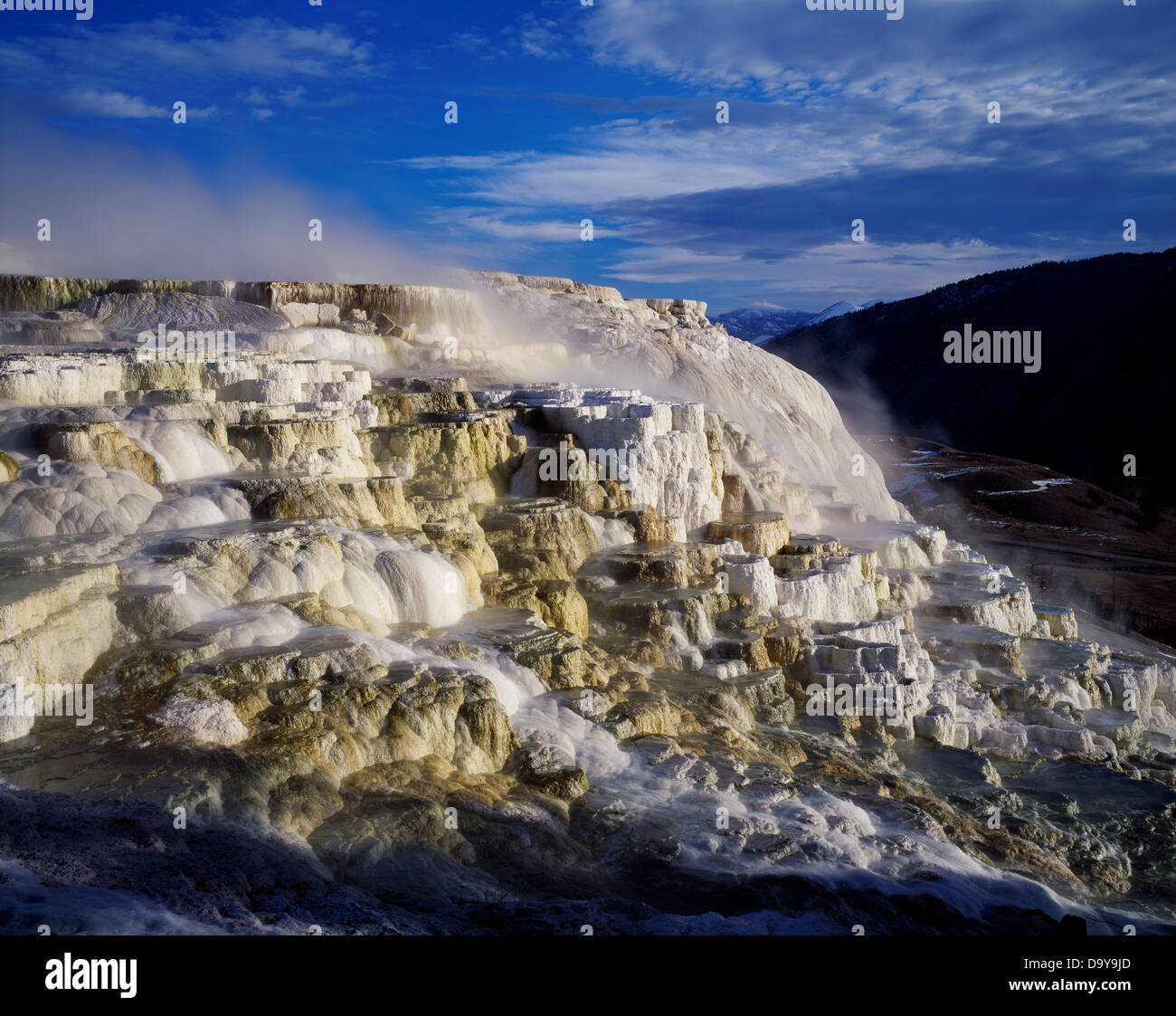 USA, Wyoming, Yellowstone National Park, Mammoth Hot Springs ...