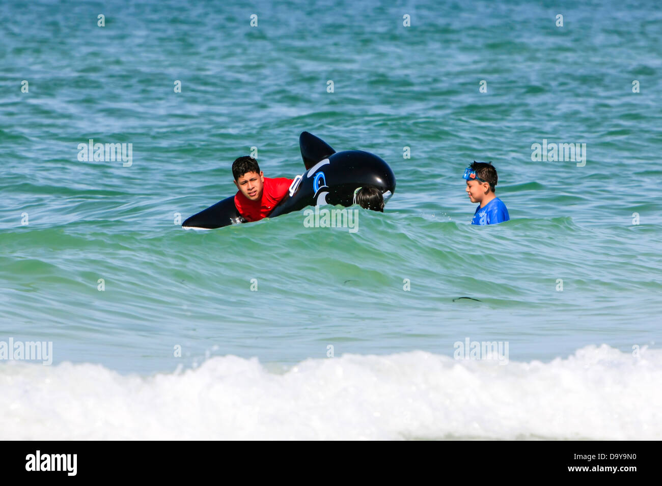 Shamu hi-res stock photography and images - Alamy