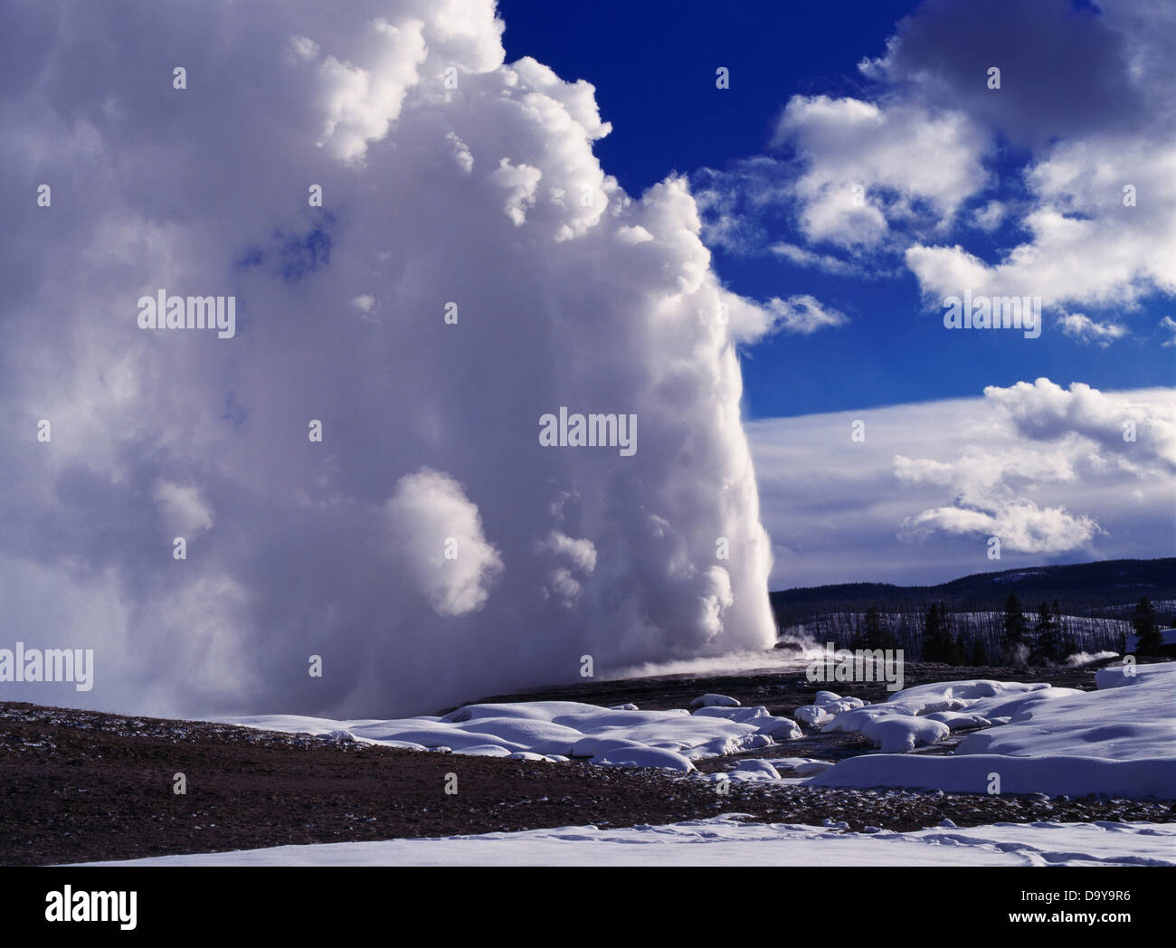 Geyser yellowstone snow hi-res stock photography and images - Alamy