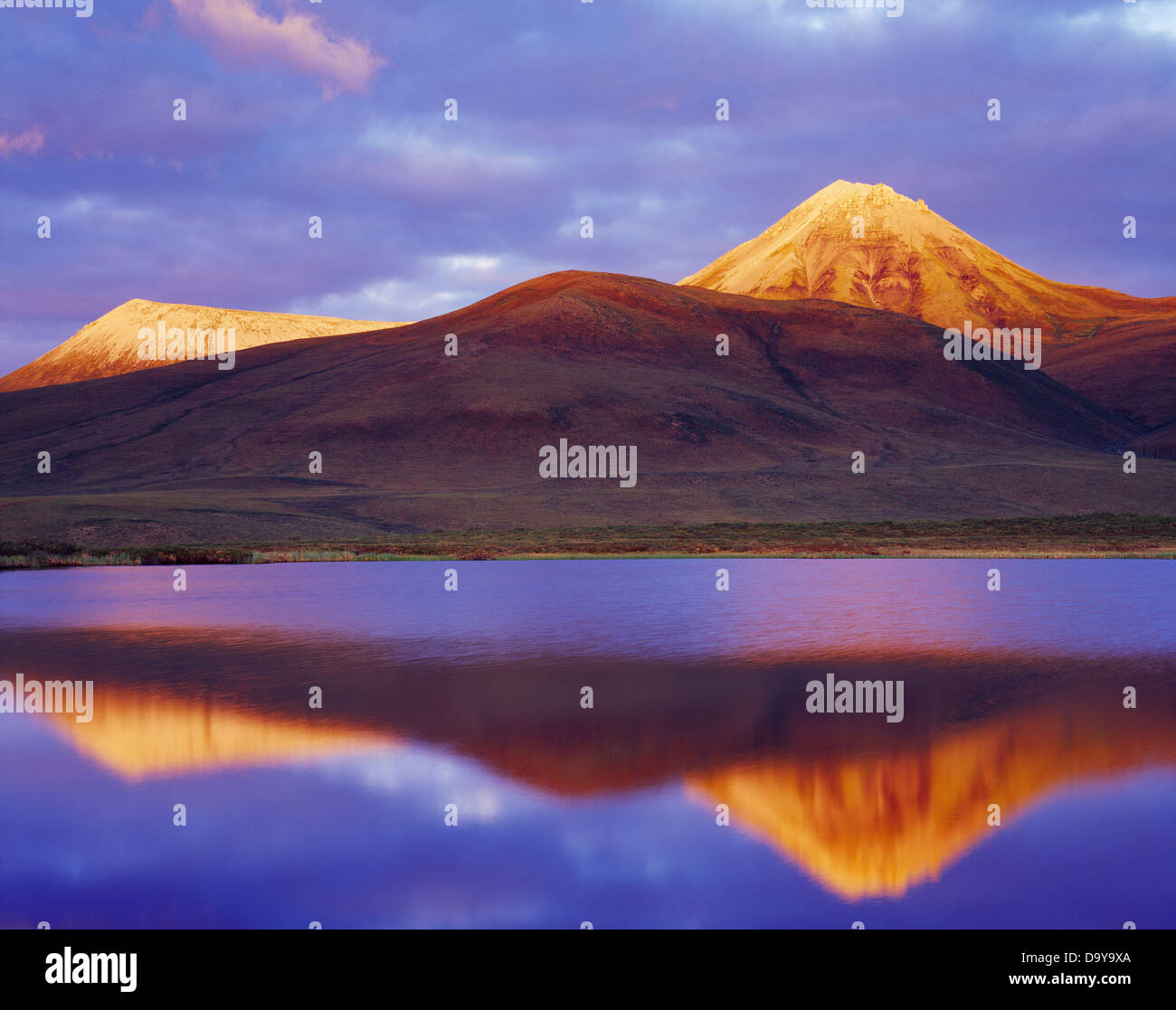 Canada Yukon Territory Blackstone Plateau McFarland Range Sunset light ...