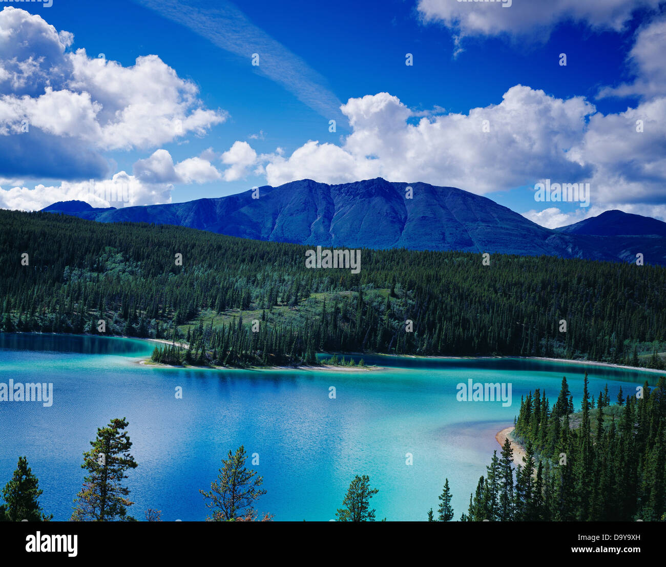 Canada, Yukon Territory, Carcross, Emerald Lake along South Klondike ...