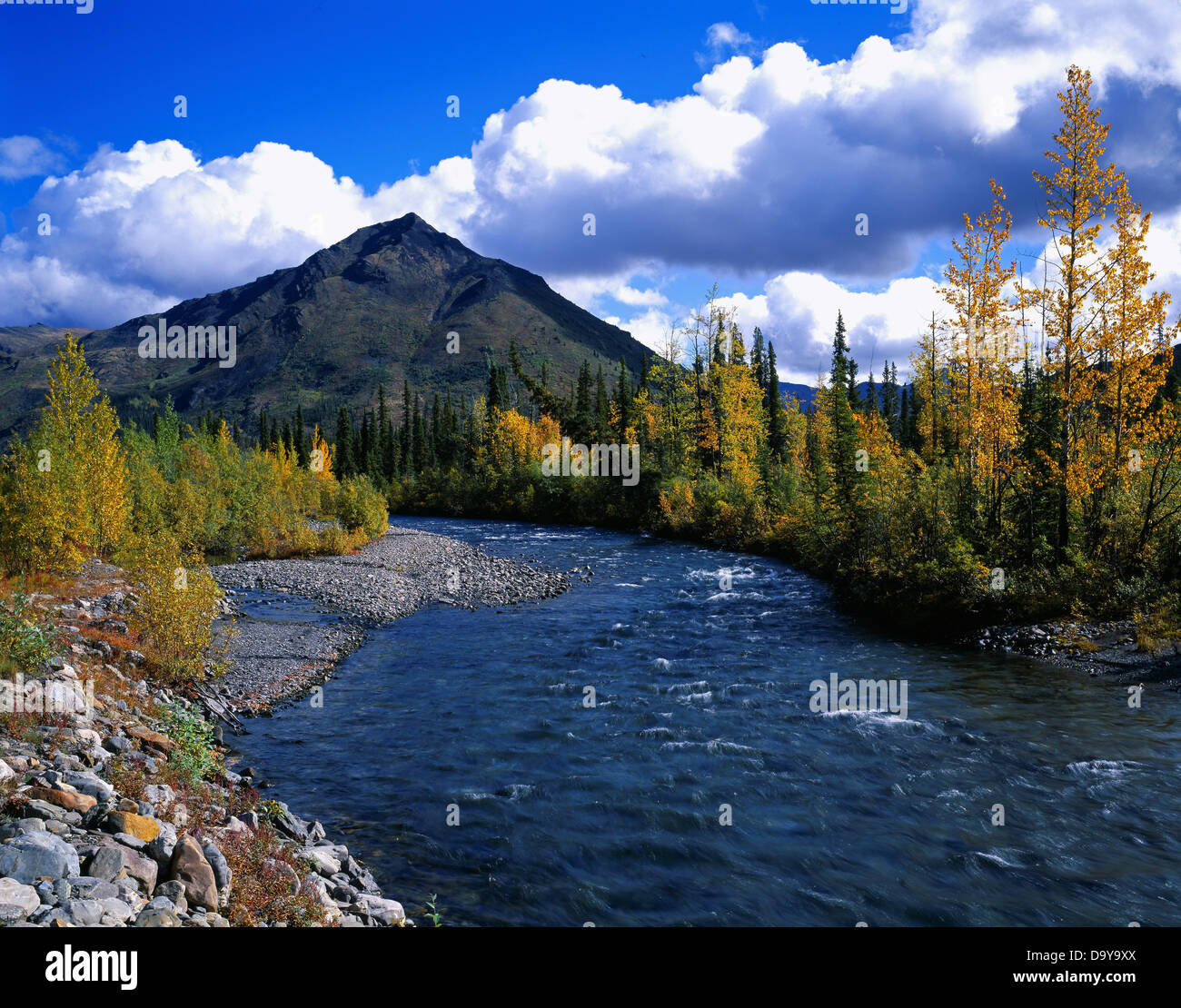 Fall colors in yukon territory hi-res stock photography and images - Alamy