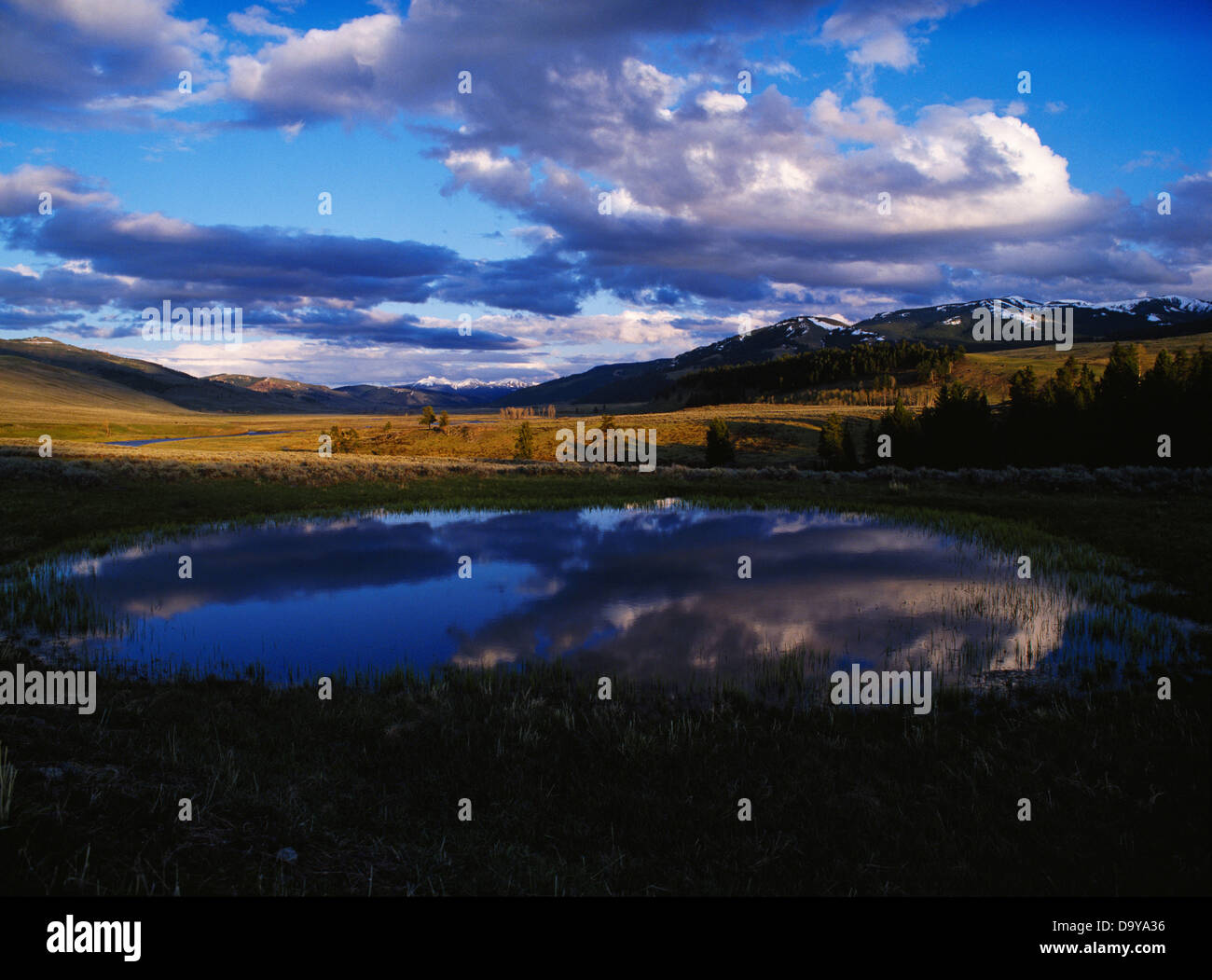USA, Yellowstone National Park, Clouds reflected in Lamar Valley pond ...