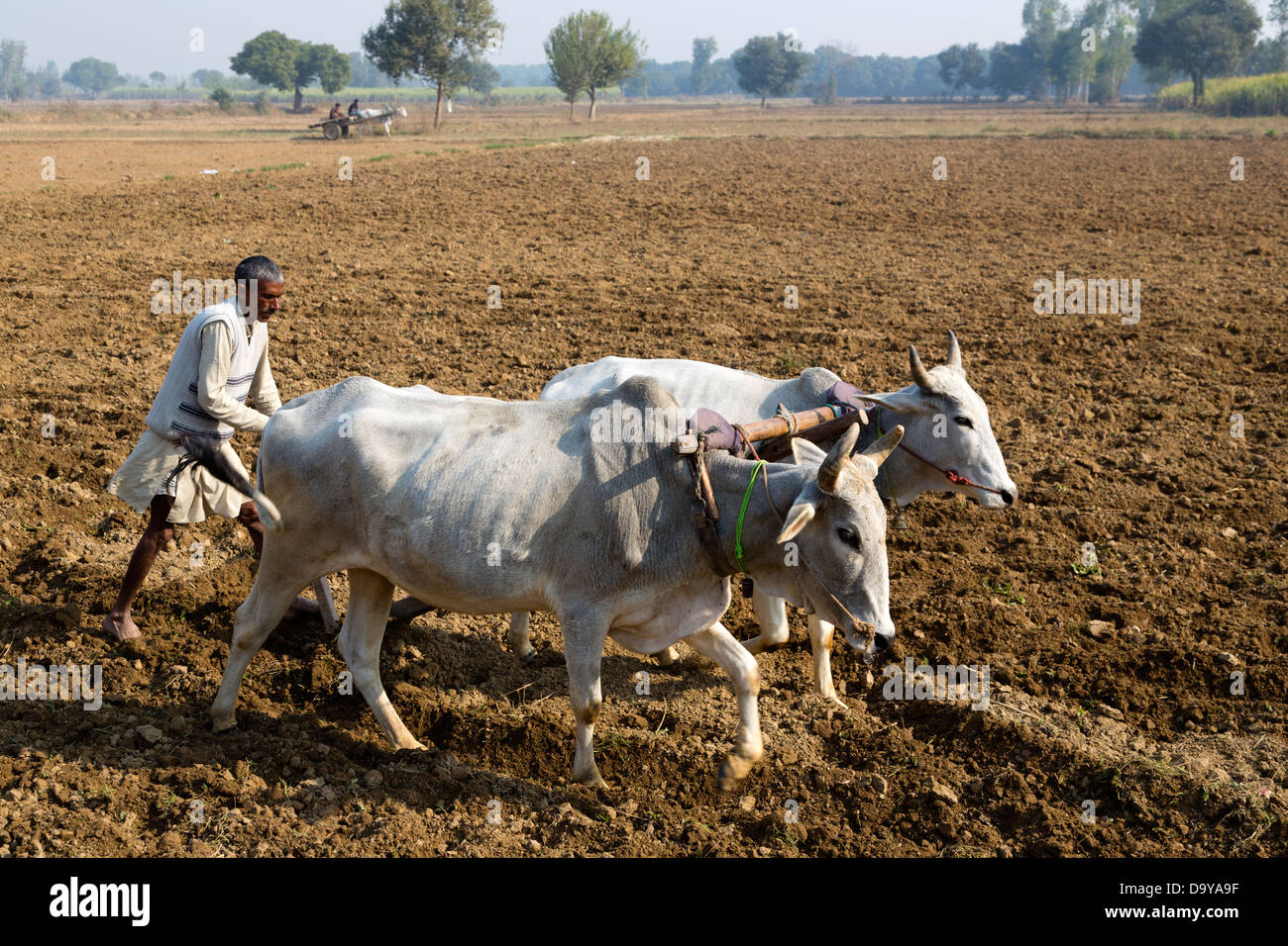Man ploughing field hi-res stock photography and images - Alamy