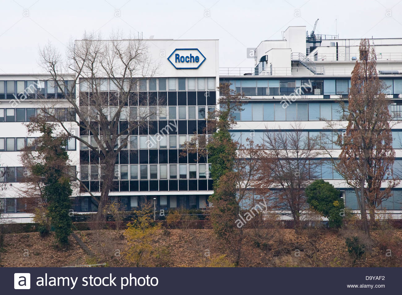 Roche Pharmaceutical Stock Photos & Roche Pharmaceutical Stock Images ...