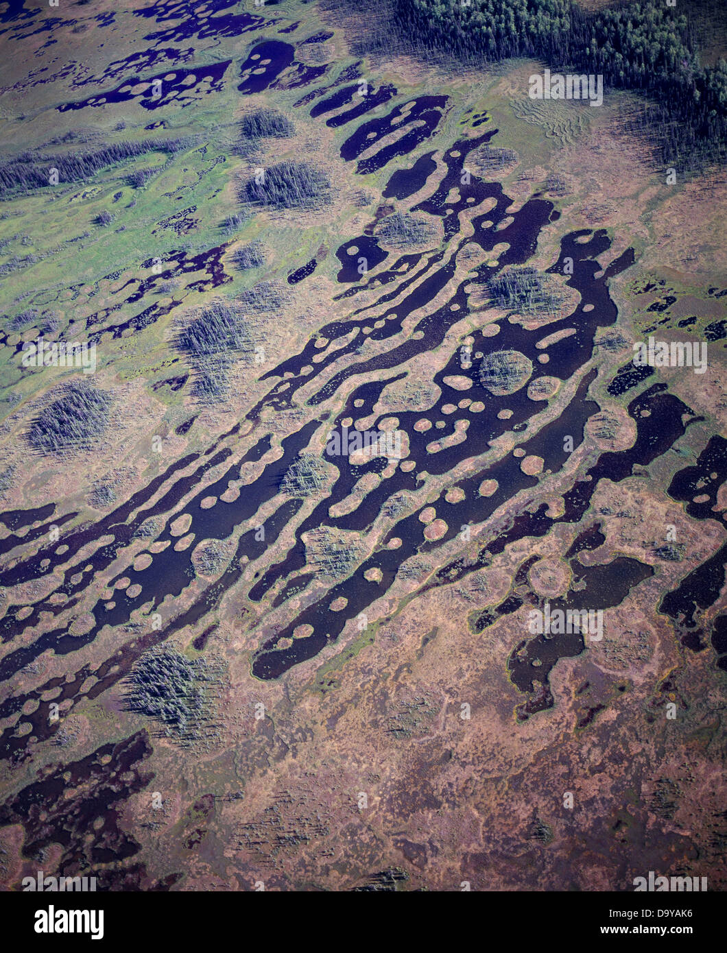 Aerial of muskeg hi-res stock photography and images - Alamy