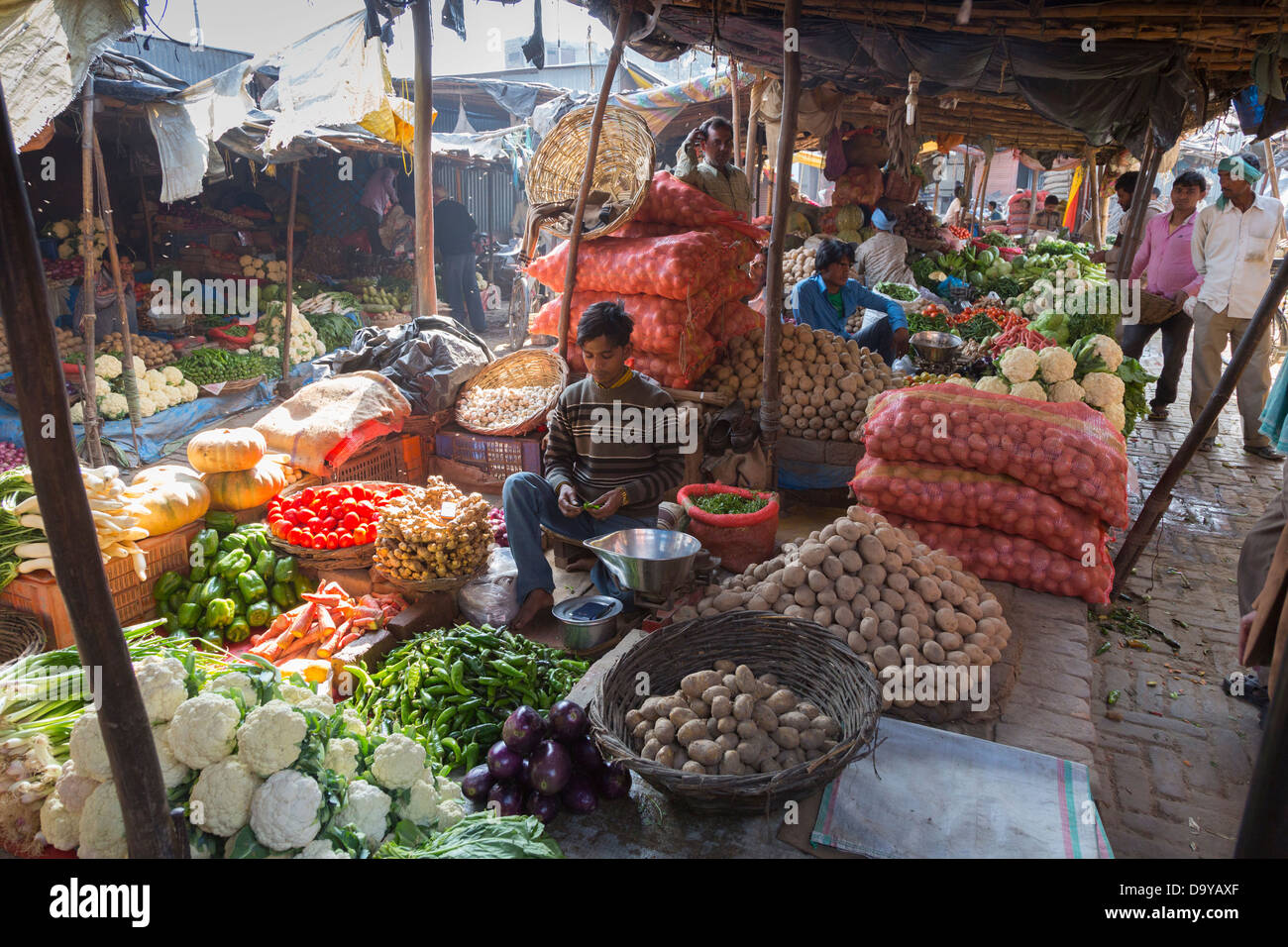 India, Uttar Pradesh, Aligarh, fruit & vegetable market Stock Photo - Alamy India, Uttar Pradesh, Aligarh, fruit & vegetable market Stock Photo - Alamy