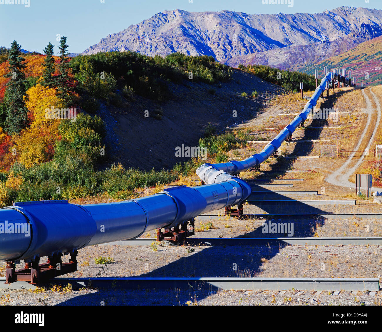 Trans Alaska Pipeline constructed with extra-long support beams sliding ...
