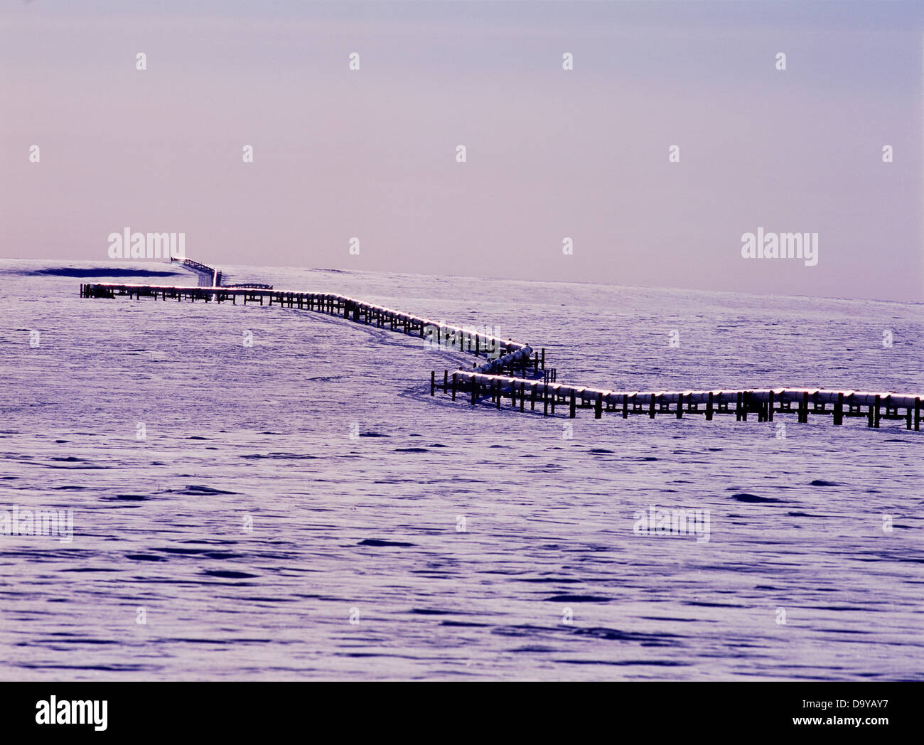 Trans Alaska Pipeline threading across the Arctic Coastal Plain in ...