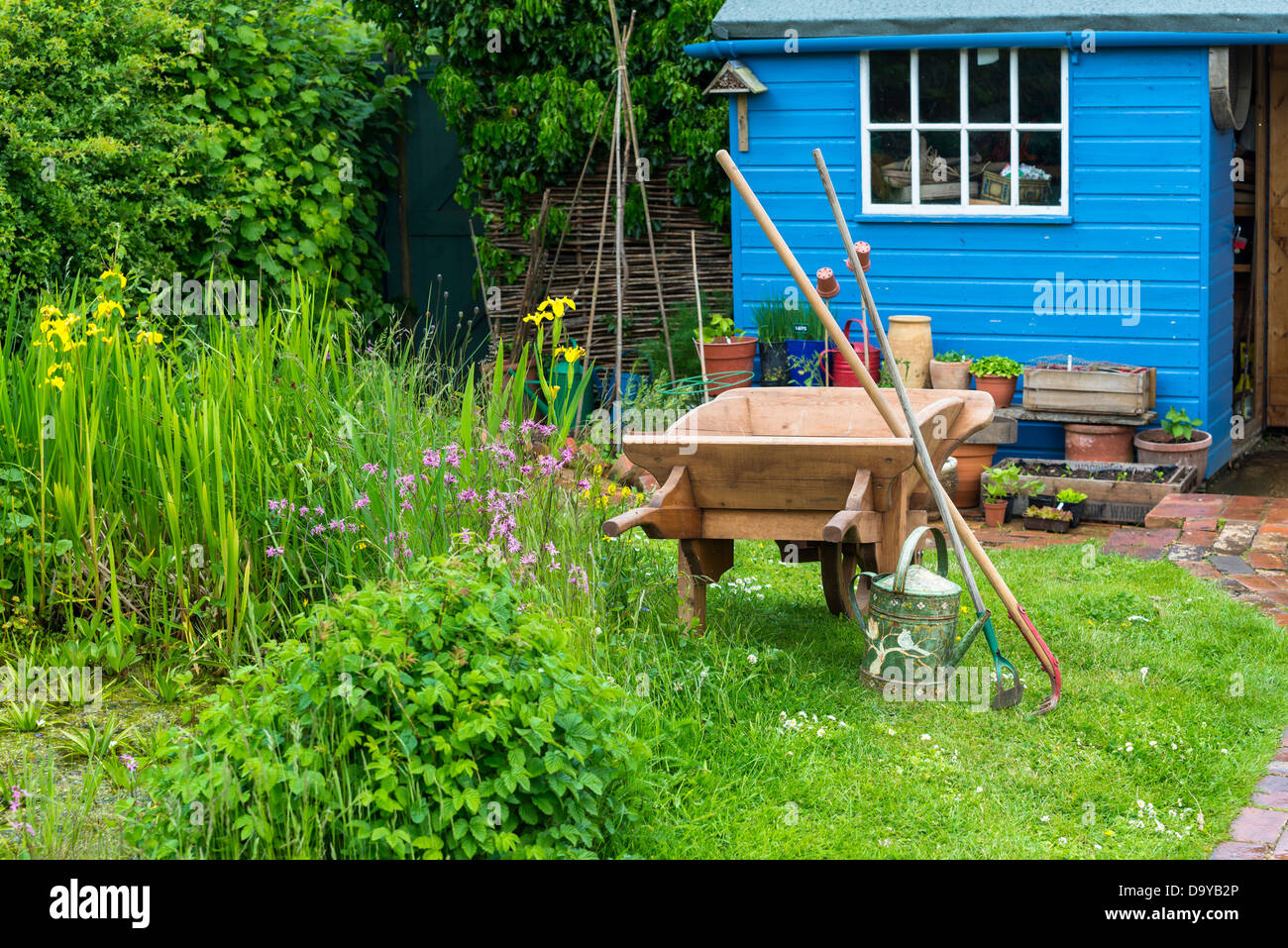 Country garden scene with wooden wheelbarrow, blue potting shed and ...