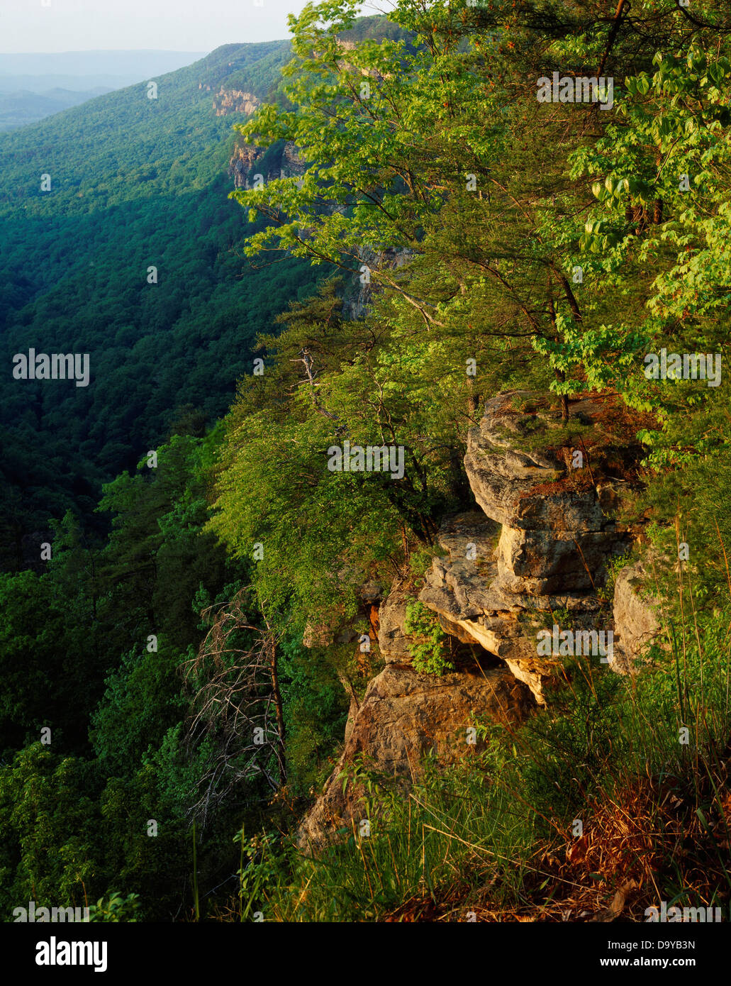 Cliff above Sitton Gulch Creek at the northern end of Lookout Mountain ...