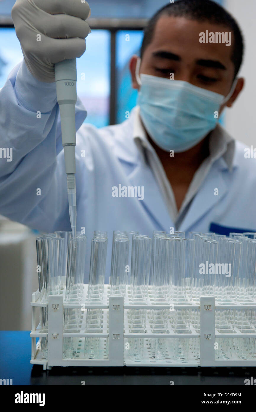 Quality control test being conducted in a laboratory, Brunei Stock ...