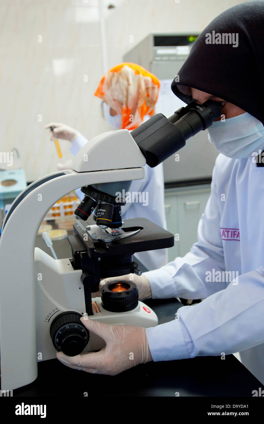 Quality control test being conducted in a laboratory, Brunei Stock ...