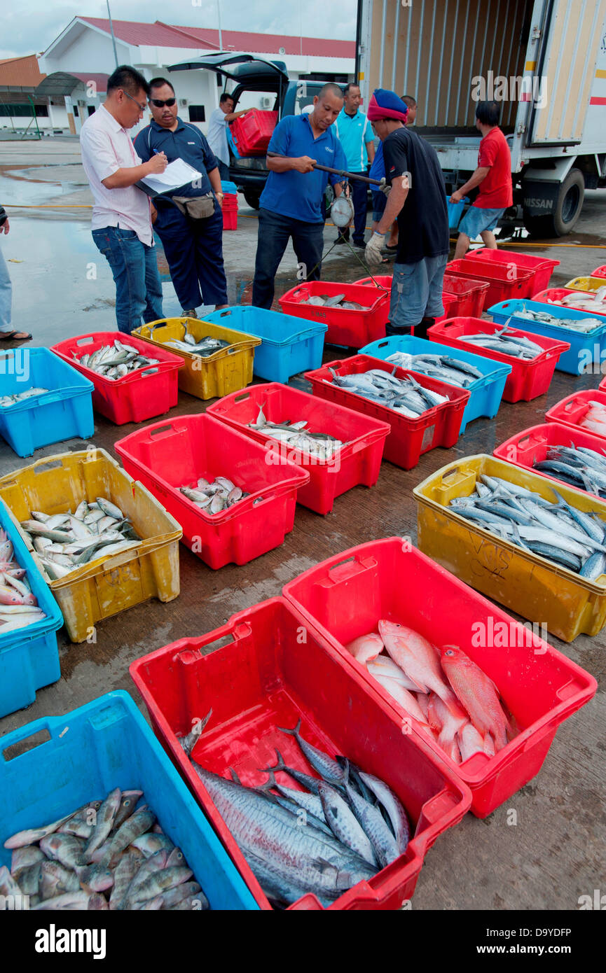 Brunei department of fisheries hi-res stock photography and images - Alamy